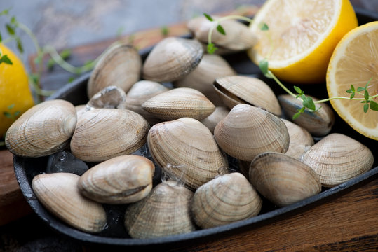 รูปภาพVongole – เลือกดูภาพถ่ายสต็อก เวกเตอร์ และวิดีโอ8,043 | Adobe Stock