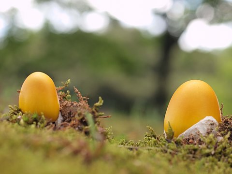 幼 Images – Browse 294 Stock Photos, Vectors, and Video | Adobe Stock