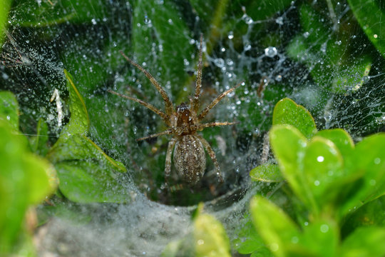 Spind bilder – Bläddra bland 387 stockfoton, vektorer och videor ...