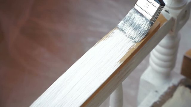 รูปภาพBursh – เลือกดูภาพถ่ายสต็อก เวกเตอร์ และวิดีโอ717 | Adobe Stock