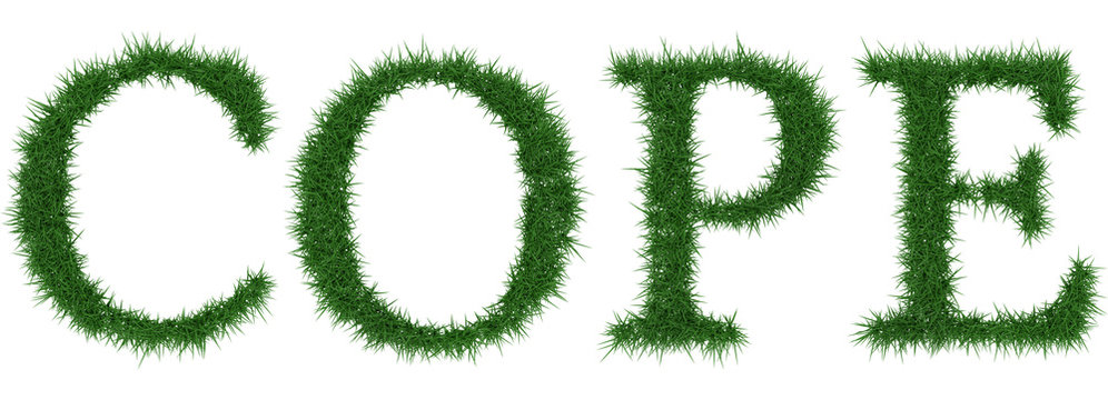 รูปภาพCope – เลือกดูภาพถ่ายสต็อก เวกเตอร์ และวิดีโอ125,262 | Adobe Stock