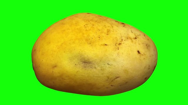 Tuod 이미지 – 찾아보기 11 스톡 사진, 벡터 및 비디오 | Adobe Stock