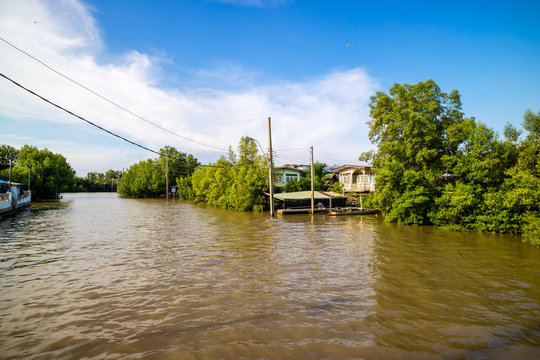 Sakhla bilder – Bläddra bland 46 stockfoton, vektorer och videor ...