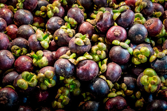 Mangostane Bilder – Durchsuchen 32,163 Archivfotos, Vektorgrafiken und ...