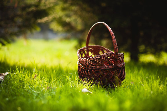 Empty Easter Basket With Grass