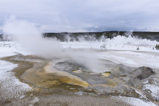 Thermophiles Images – Parcourir 3,134 le catalogue de photos, vecteurs ...