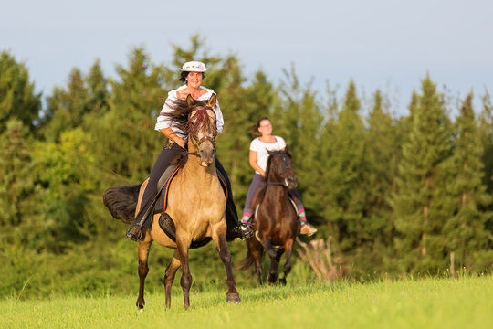 Argant bilder – Bläddra bland 381 stockfoton, vektorer och videor ...