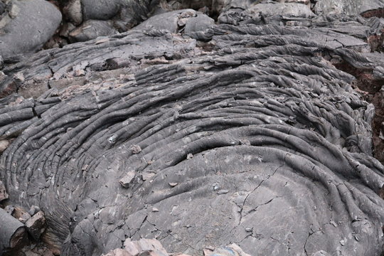 Fango Bilder – Durchsuchen 3,383 Archivfotos, Vektorgrafiken und Videos ...