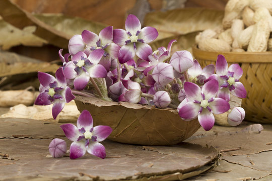 Aakada Images – Browse 6 Stock Photos, Vectors, and Video | Adobe Stock