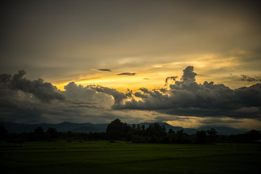 Dizzle Images – Browse 65 Stock Photos, Vectors, and Video | Adobe Stock