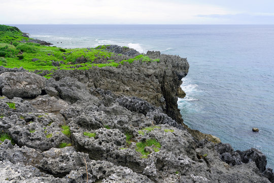 147 BEST Kunigami IMAGES, STOCK PHOTOS & VECTORS | Adobe Stock