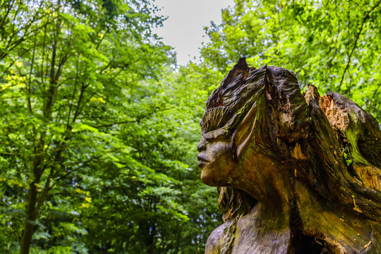 "Wood Nymph" Images – Browse 4,389 Stock Photos, Vectors, and Video ...