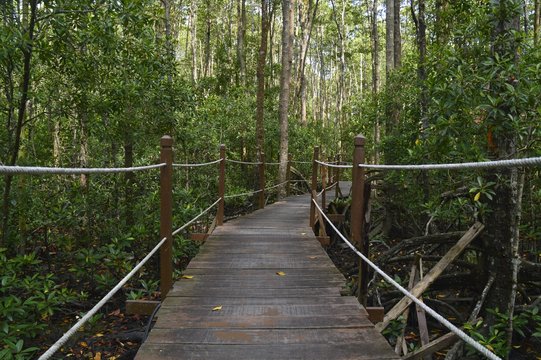 Piai Images – Browse 40 Stock Photos, Vectors, and Video | Adobe Stock