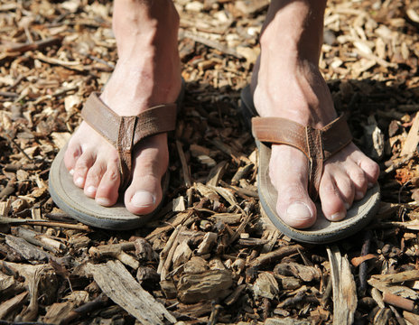 Slache Images – Browse 63 Stock Photos, Vectors, and Video | Adobe Stock