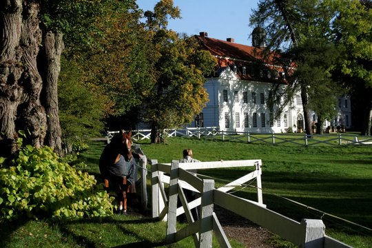 Panker Bilder – Durchsuchen 125 Archivfotos, Vektorgrafiken und Videos ...