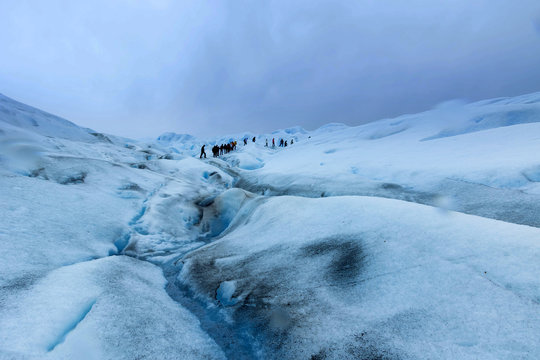 Graciar Images – Browse 79 Stock Photos, Vectors, and Video | Adobe Stock