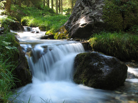 Kuhle Bilder – Durchsuchen 31,663 Archivfotos, Vektorgrafiken und ...