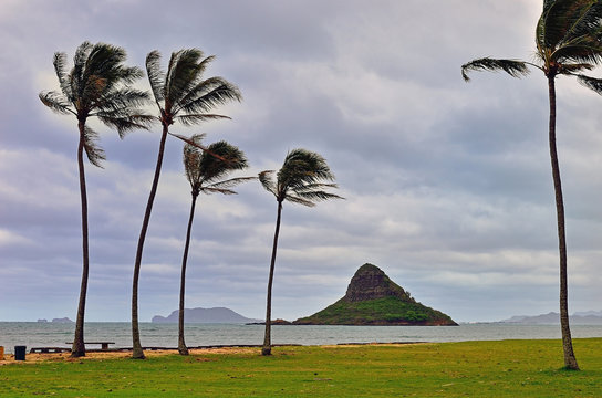 "Kualoa Point" Images – Browse 87 Stock Photos, Vectors, and Video ...