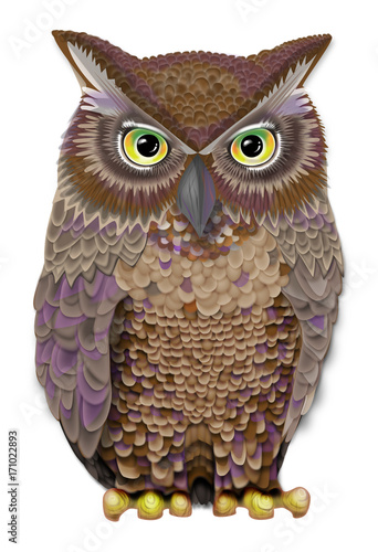 "Oul illustration" Stock photo and royalty-free images on Fotolia.com ...