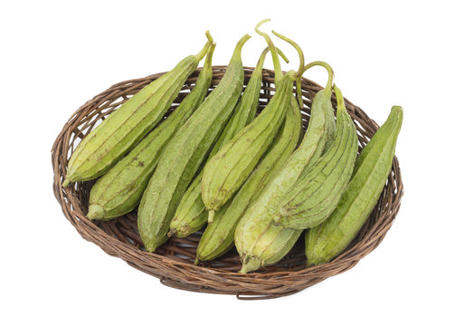 Turai Images – Browse 76 Stock Photos, Vectors, and Video | Adobe Stock