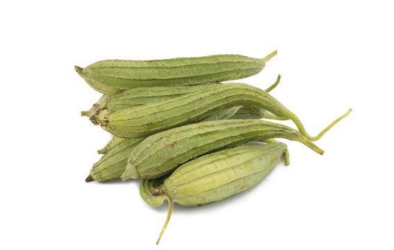 Turai Images – Browse 104 Stock Photos, Vectors, and Video | Adobe Stock