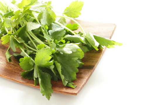 「Mitsuba」の写真素材 | 73件の無料イラスト画像 | Adobe Stock