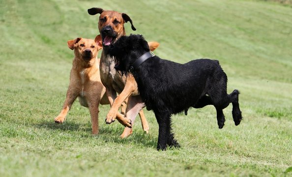 「Toben」の画像 - 10,402 件の Stock 写真、ベクターおよびビデオ | Adobe Stock