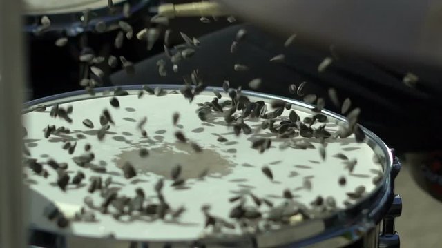 Snare Images – Browse 46,113 Stock Photos, Vectors, and Video | Adobe Stock