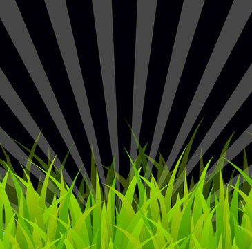 รูปภาพGrassline – เลือกดูภาพถ่ายสต็อก เวกเตอร์ และวิดีโอ174 | Adobe Stock