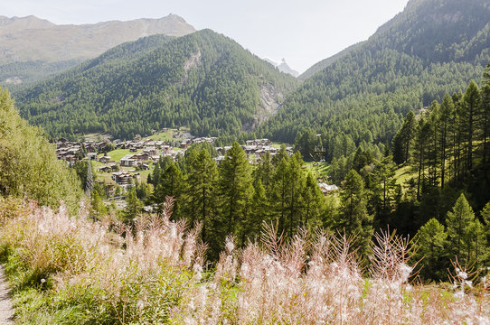 Arvenholz Bilder – Durchsuchen 1,016 Archivfotos, Vektorgrafiken und ...