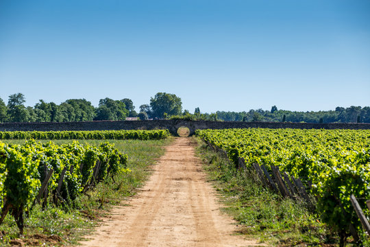 Fotolia Images – Browse 7,629 Stock Photos, Vectors, and Video | Adobe ...