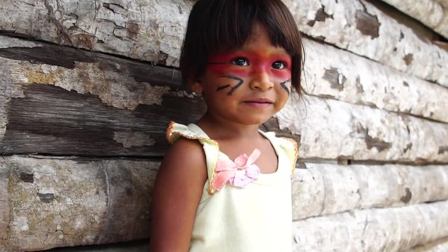 Native Tupi Guarani Tribe Images – Browse 303 Stock Photos, Vectors ...