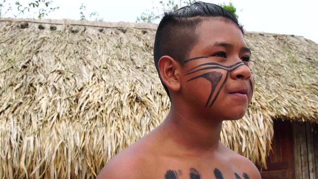 Tupi bilder – Bla gjennom 553 arkivbilder, vektorer og videoer | Adobe ...