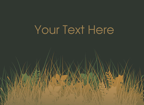 รูปภาพGrassline – เลือกดูภาพถ่ายสต็อก เวกเตอร์ และวิดีโอ174 | Adobe Stock