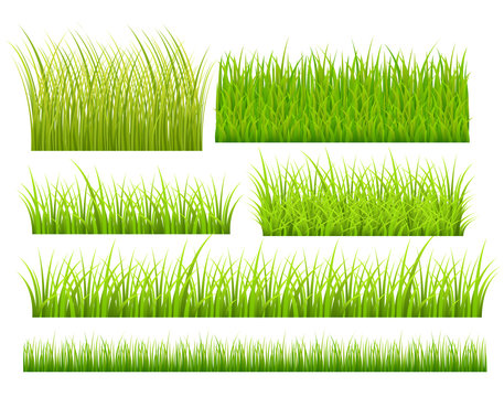 รูปภาพGrassline – เลือกดูภาพถ่ายสต็อก เวกเตอร์ และวิดีโอ174 | Adobe Stock