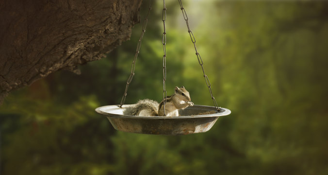 รูปภาพGilhari – เลือกดูภาพถ่ายสต็อก เวกเตอร์ และวิดีโอ9 | Adobe Stock