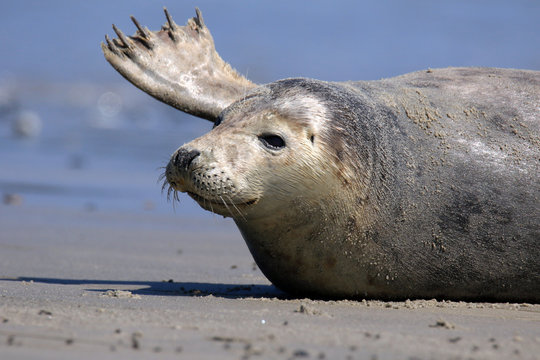 Winkende Images – Browse 102 Stock Photos, Vectors, and Video | Adobe Stock