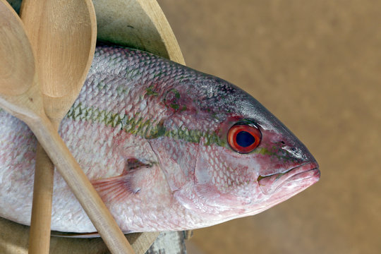 Gamela Images – Browse 40 Stock Photos, Vectors, and Video | Adobe Stock