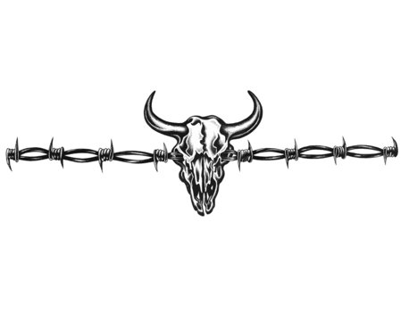 Barbed Wire Skull Drawing