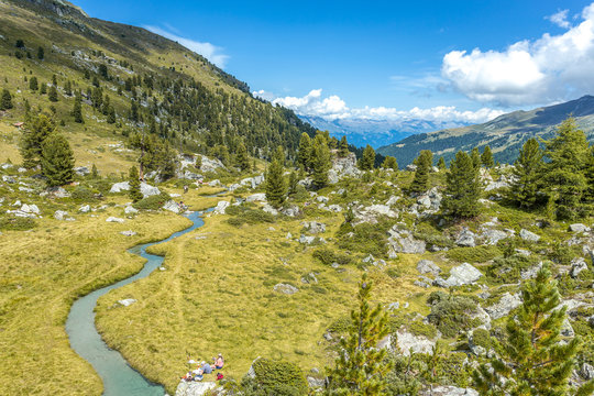 Serpenter Bilder – Durchsuchen 194 Archivfotos, Vektorgrafiken und ...