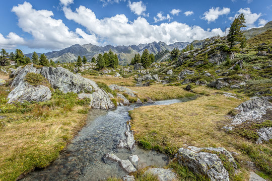 Serpenter Bilder – Durchsuchen 182 Archivfotos, Vektorgrafiken und ...