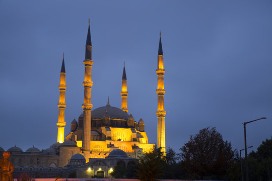 Cami bilder – Bläddra bland 10,710 stockfoton, vektorer och videor ...