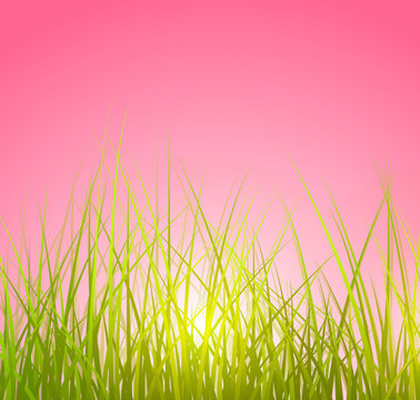 รูปภาพGrassline – เลือกดูภาพถ่ายสต็อก เวกเตอร์ และวิดีโอ174 | Adobe Stock