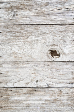 pasgen photos, images, assets | Adobe Stock