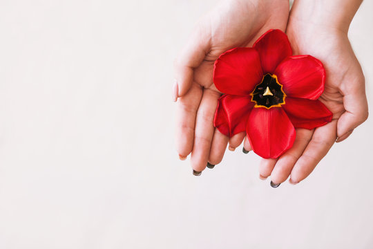 Femininity Images – Browse 803,346 Stock Photos, Vectors, and Video ...