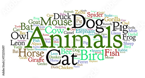 "Words cloud of Animals" Stock image and royalty-free vector files on ...