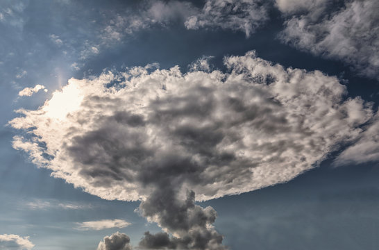 Atompilz bilder – Bläddra bland 62 stockfoton, vektorer och videor ...