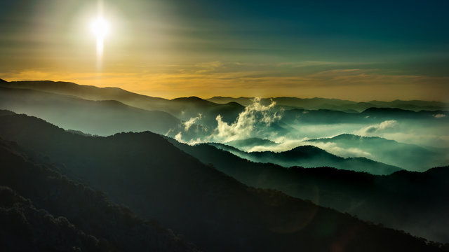 Madari Images – Browse 79 Stock Photos, Vectors, and Video | Adobe Stock