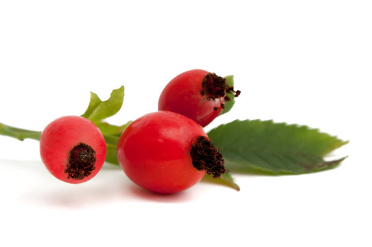 รูปภาพHiffen – เลือกดูภาพถ่ายสต็อก เวกเตอร์ และวิดีโอ325 | Adobe Stock