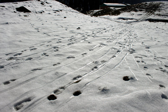 「Slage」の写真素材 | 30件の無料イラスト画像 | Adobe Stock